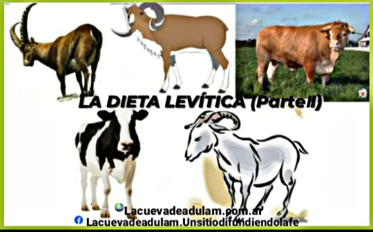 LA DIETA LEVÍTICA (Parte II) – La Cueva de Adulam